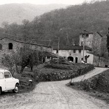 Il Forteto, storia, poco nota, di una comunità maltrattante